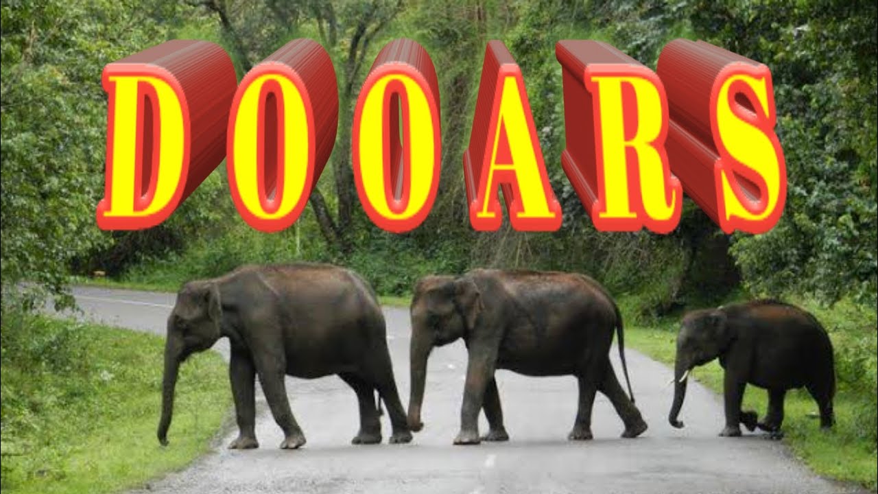 Dooars || Dooars itinerary || Dooars tour plan || - YouTube