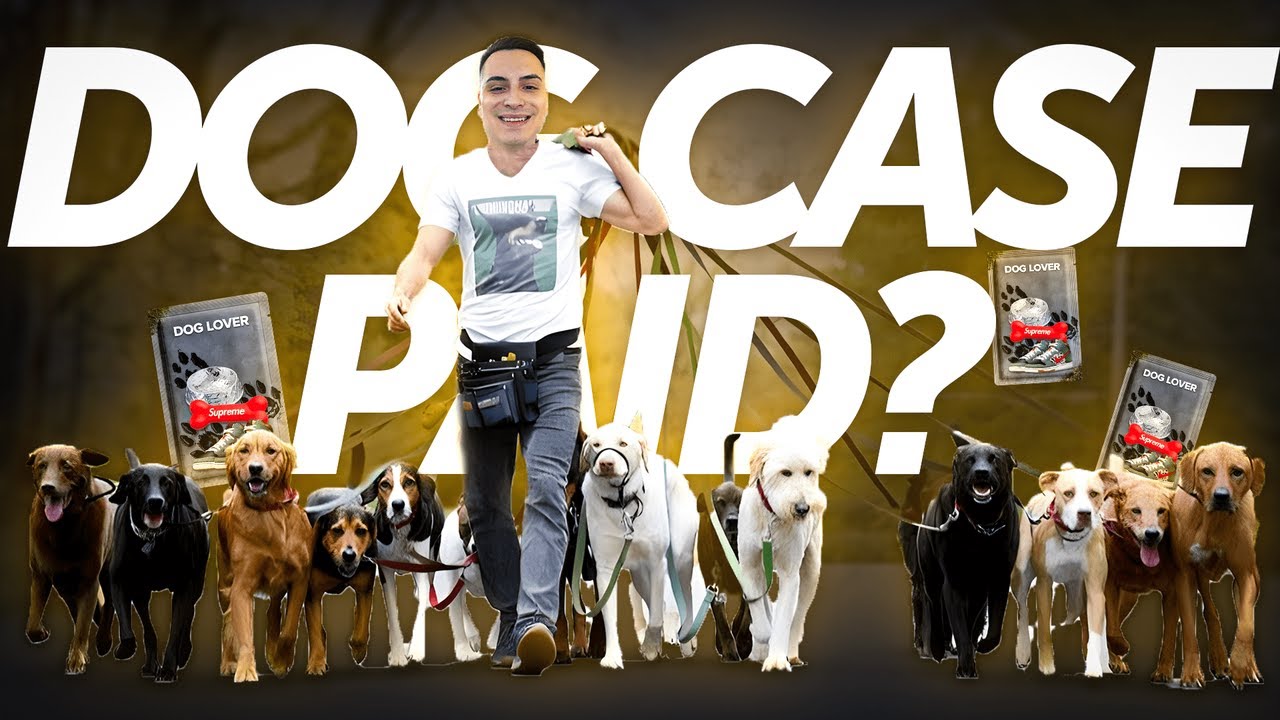 THE DOG LOVER CASE IS INSANE! *PACKDRAW* - YouTube