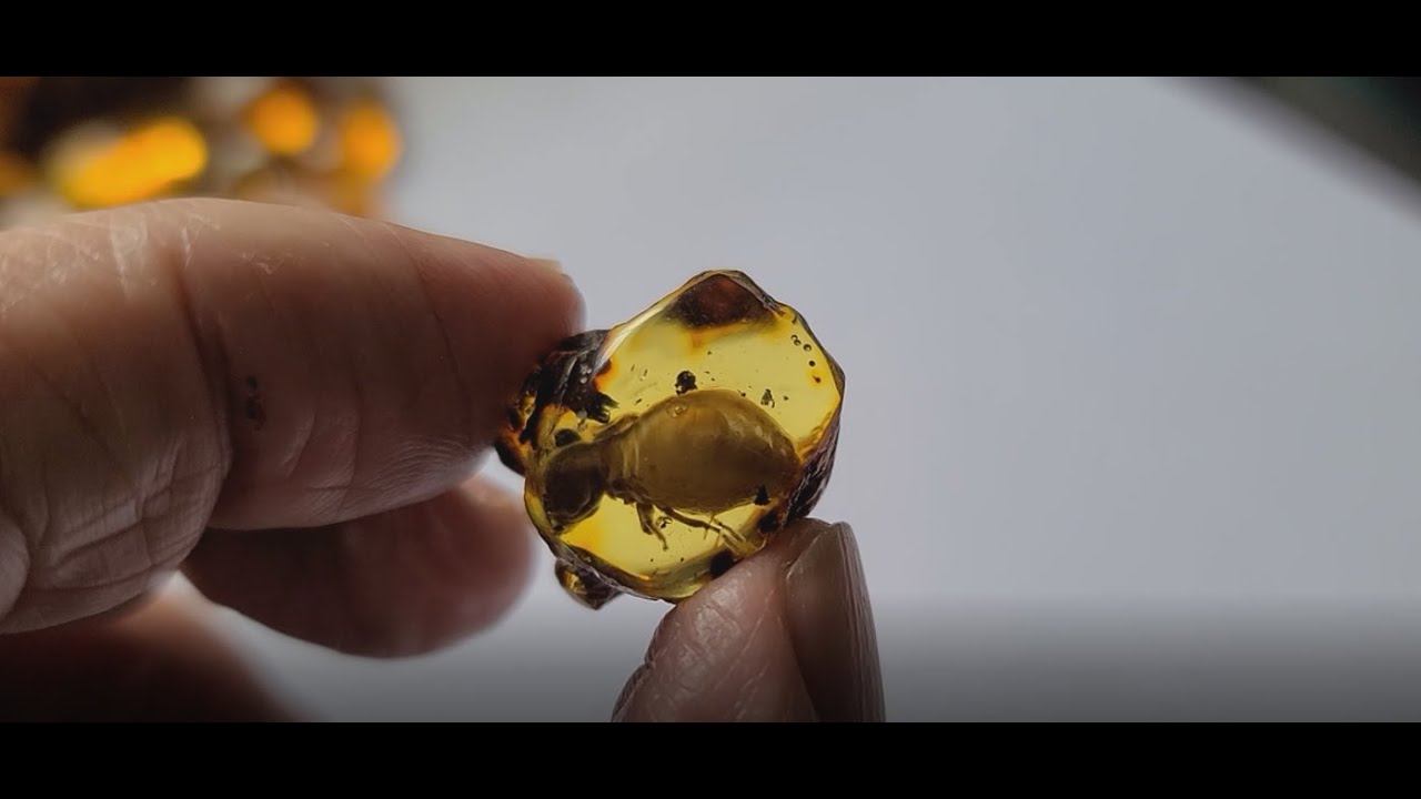 Enhydros and Fluid Inclusions. Rocks and Amber with fluids and moving ...