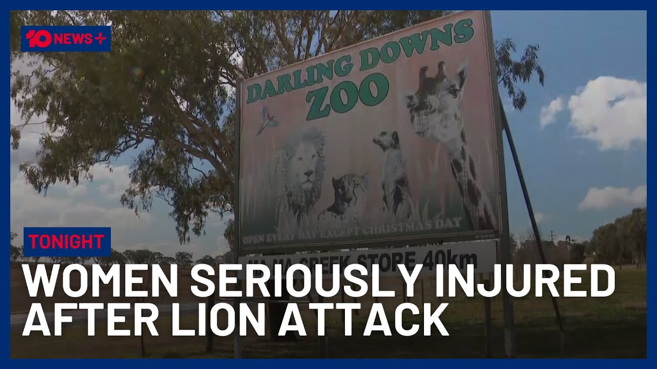 Woman Left With Horrific Arm Injury After Lion Attack In Queensland ...