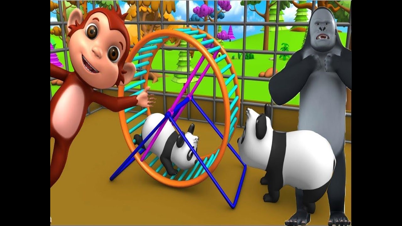 Funny Zoo Animals Play Games in Forest _ Animal Comedy Videos in Jungle ...
