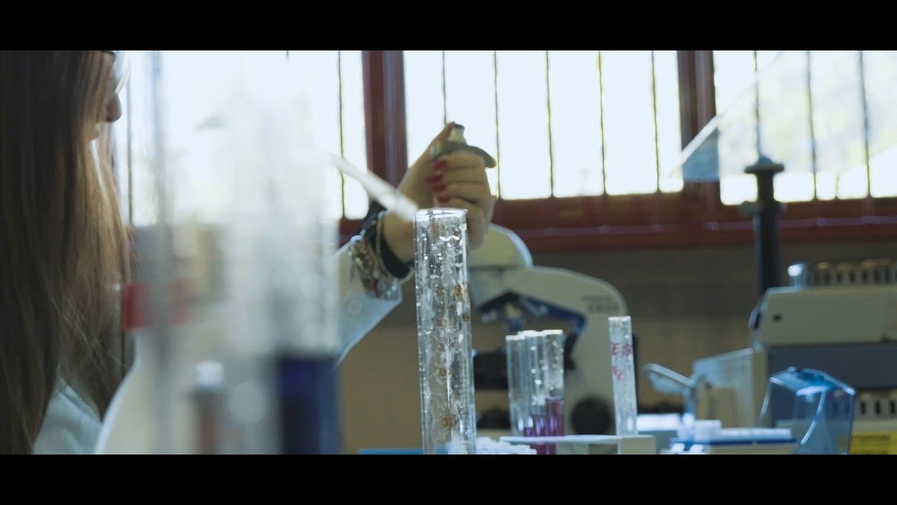 Indirizzo BIOTECNOLOGIE Istituto Tecnico IIS Einstein Vimercate - YouTube