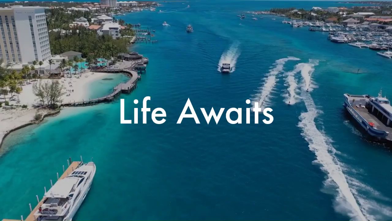 Life Awaits Video - YouTube
