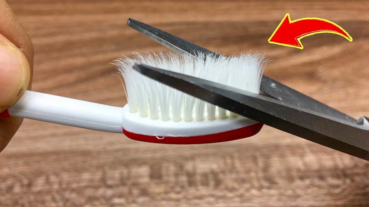 Cut toothbrush bristles and make dollars! Every house needs this and no ...