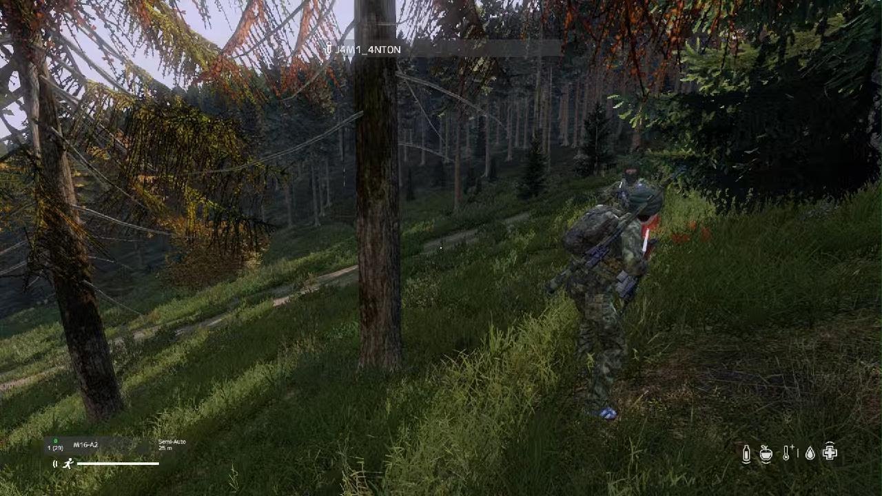 DayZ Conquest average Blue outing - YouTube