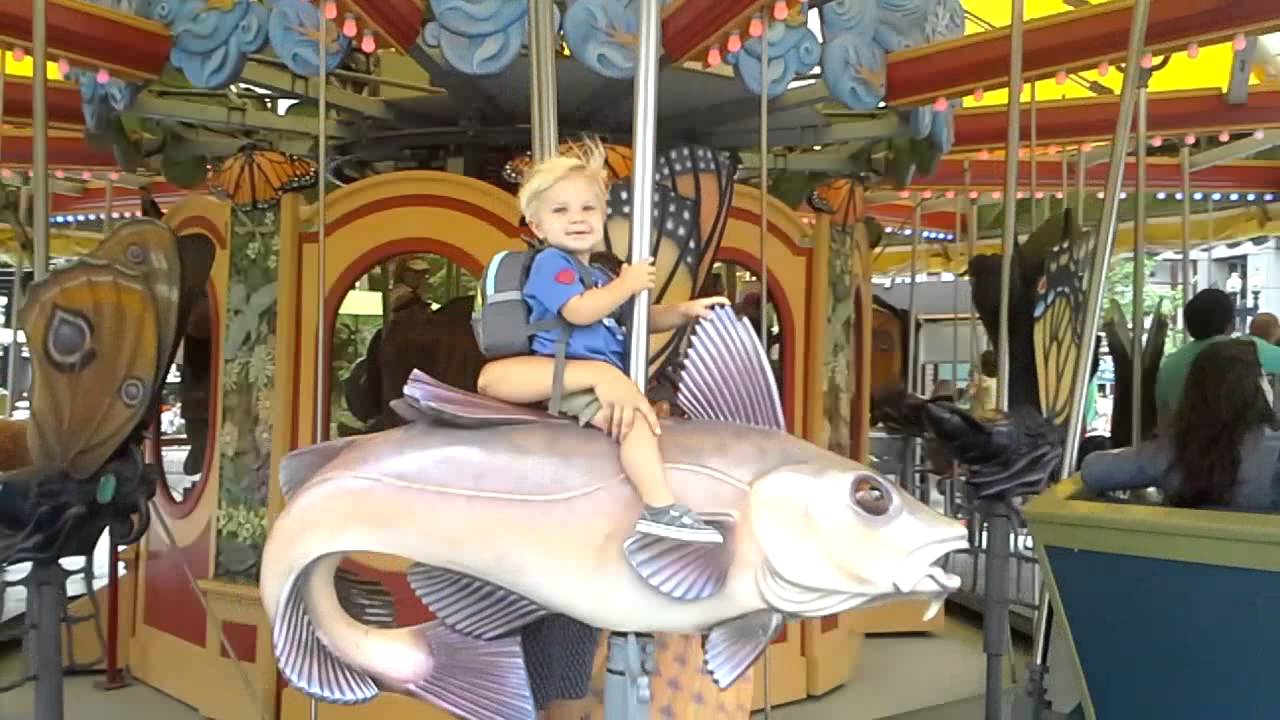 The Greenway Carousel, Boston, MA - YouTube