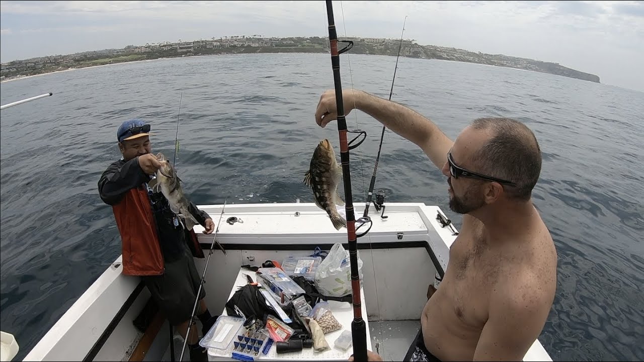 Blue Fin Tuna at Newport?! SKUNKED! We Salvage the day with Calico Bass ...