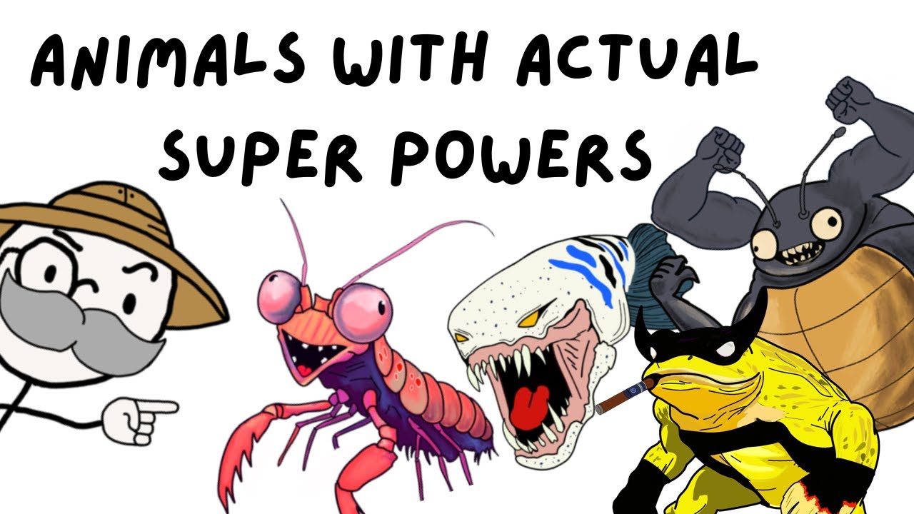 Animals With REAL Super Powers - YouTube