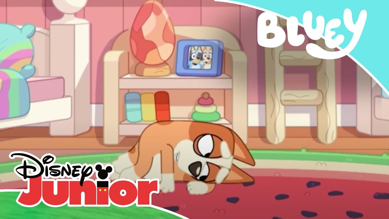 Bluey: Jugando con Bingo y Bluey | Disney Junior Oficial - YouTube