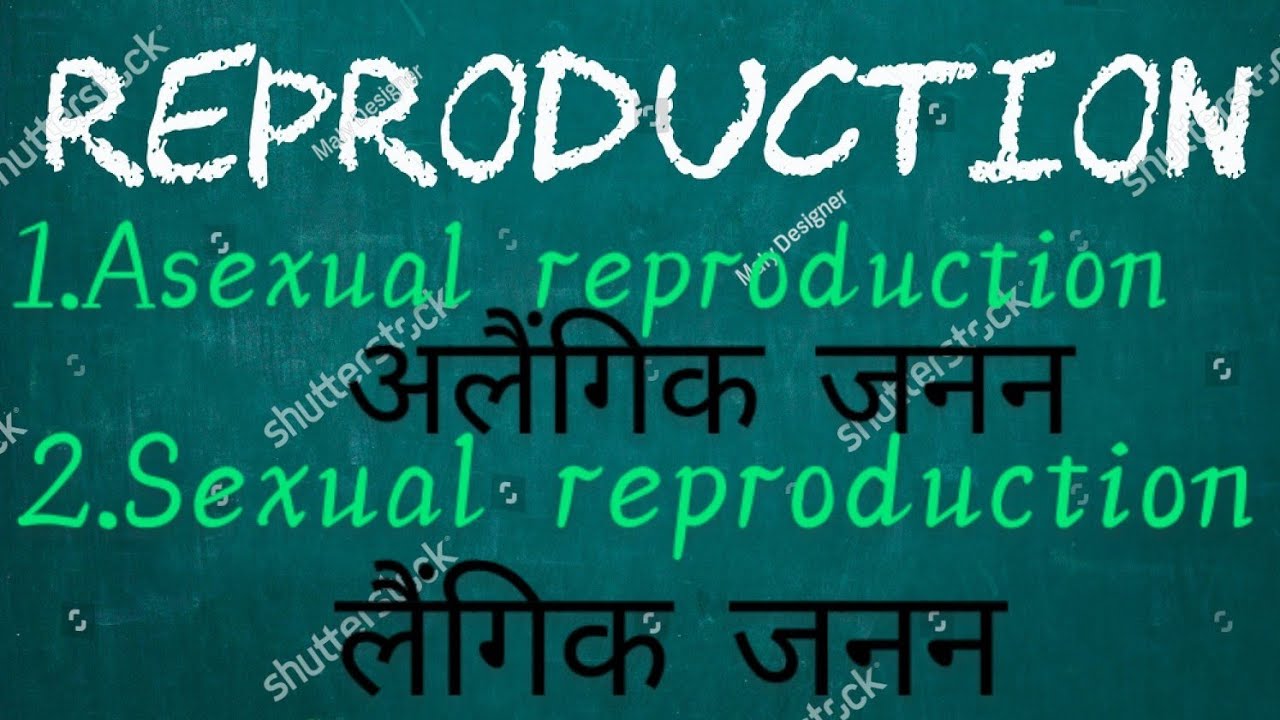 जनन REPRODUCTION#reproduction #viral #education #diagram - YouTube