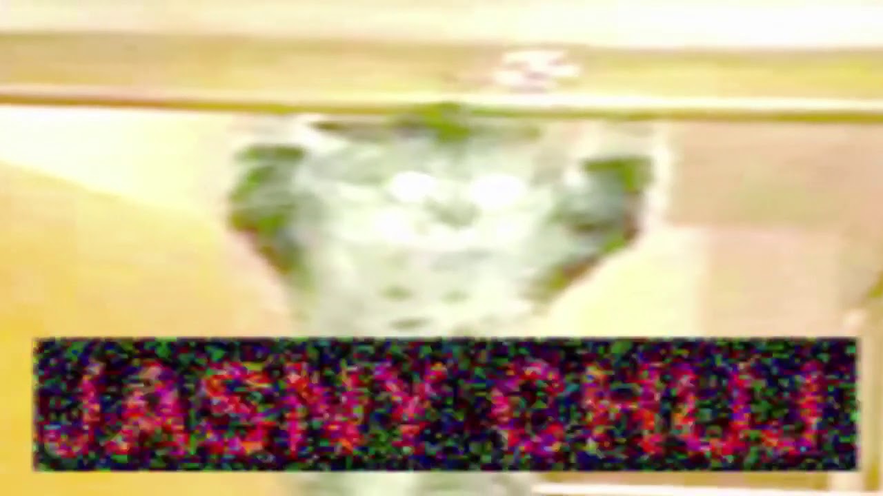 JASNY CHUJ - YouTube