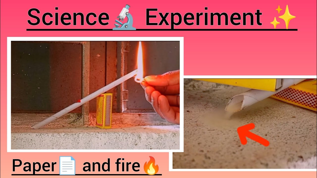 Science🔬 Experiment with Paper📄 | #stechnology99 #experiment - YouTube