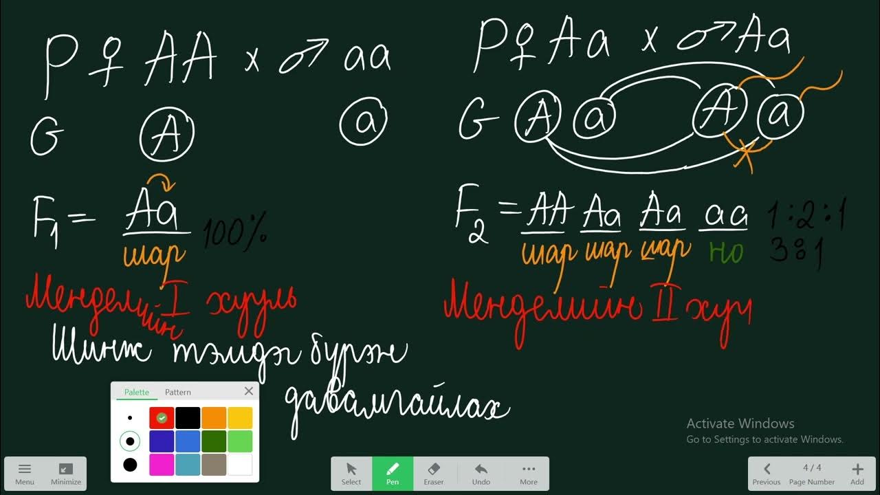 Моногибрид эрлийзжүүлэг - YouTube