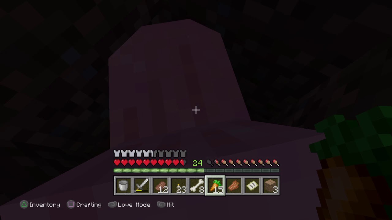 Minecraft bruh moment - YouTube