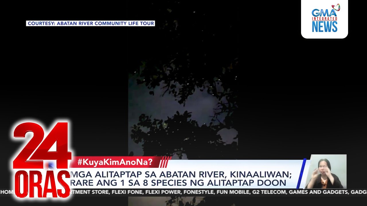 Mga alitaptap sa Abatan River, kinaaliwan; Rare ang 1 sa 8 species ng ...