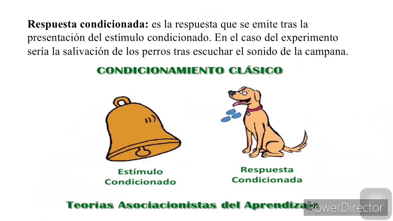 Ejemplos De La Teoria Del Conductismo