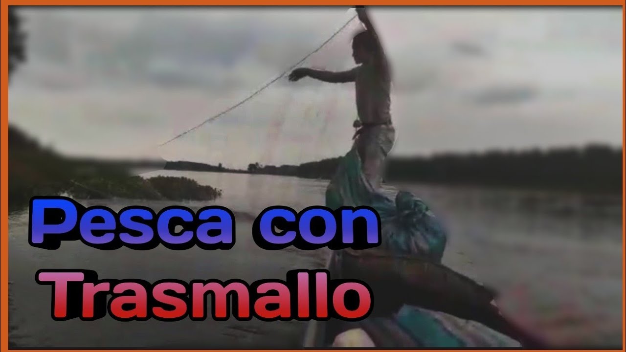 Pesca con Trasmallo | Blog 5 | - YouTube
