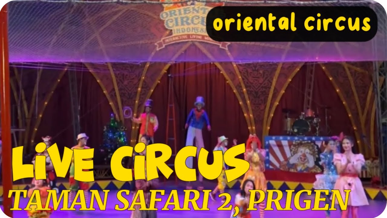 Pertunjukan circus taman safari prigen‼️vidio atraksi circus dan badut‼ ...