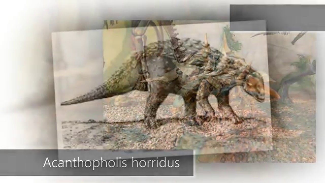 Ancanthopholis - Acanthopholis horrida - YouTube