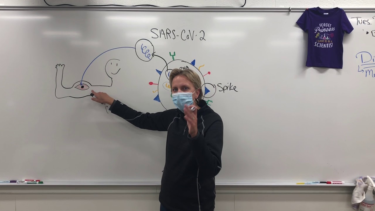 Ask Mrs. Bruns - Episode 1 - YouTube