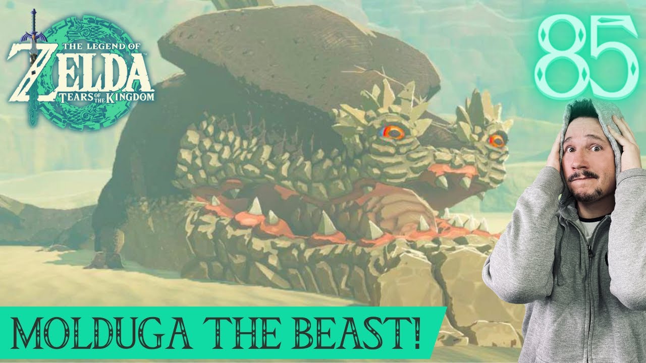Molduga the Desert Monster! The Legend of Zelda TOTK: Zelda Tears of ...