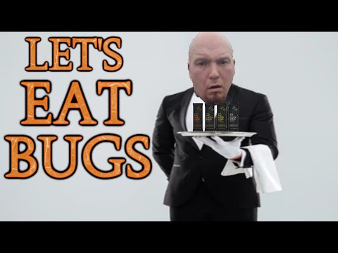 The Foxy Stoats - Let's Eat Bugs - YouTube