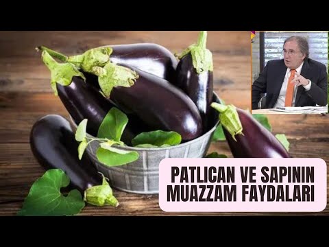 PATLICANIN FAYDALARI NELERDİR/PATLICAN SAPI FAYDALARI/KÖZ PATLICAN FAYDALARI/PATLICANIN ZARARLARI