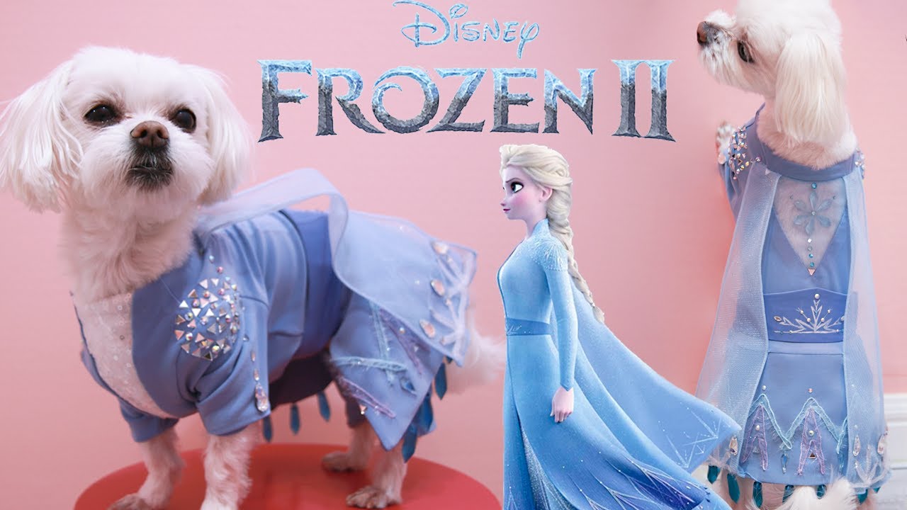 [겨울왕국2] 엘사 강아지옷 만들기_업사이클링🐶 [FROZEN2] Making An ELSA_ Dog Clothes - YouTube