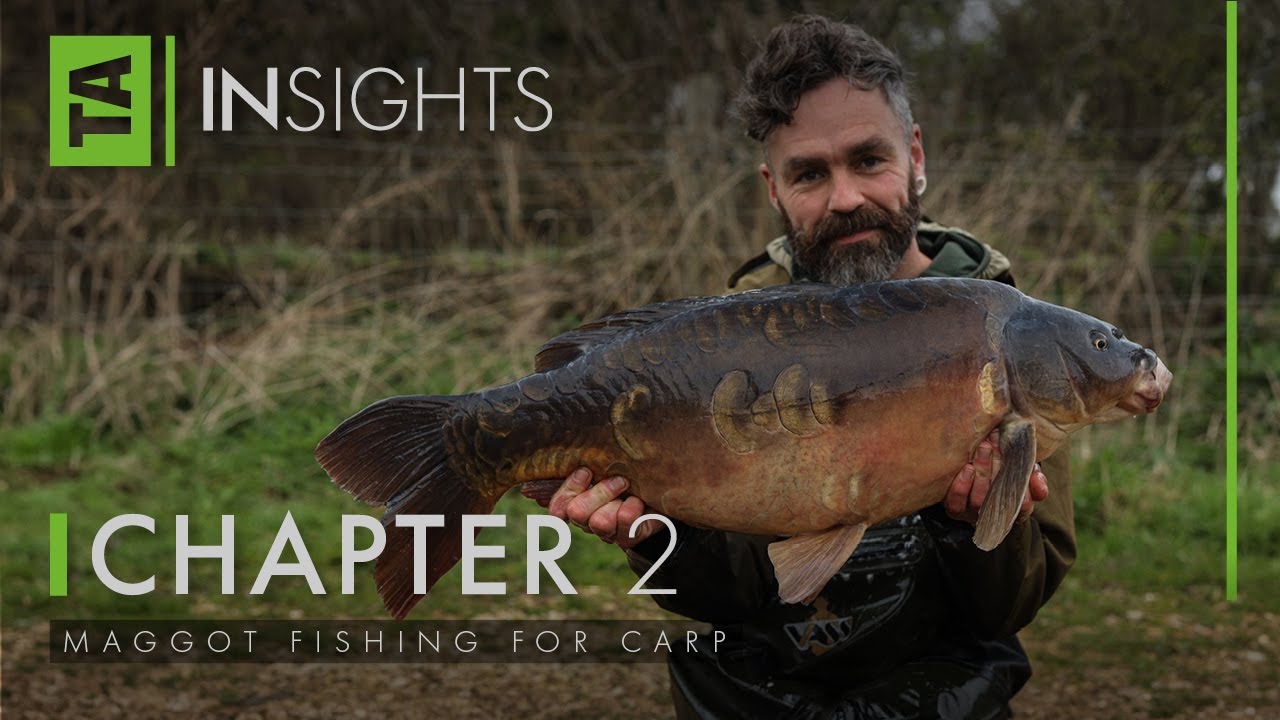 Maggot Fishing for Carp | TA|Insights | Volume Four | Chapter Two | Gaz ...