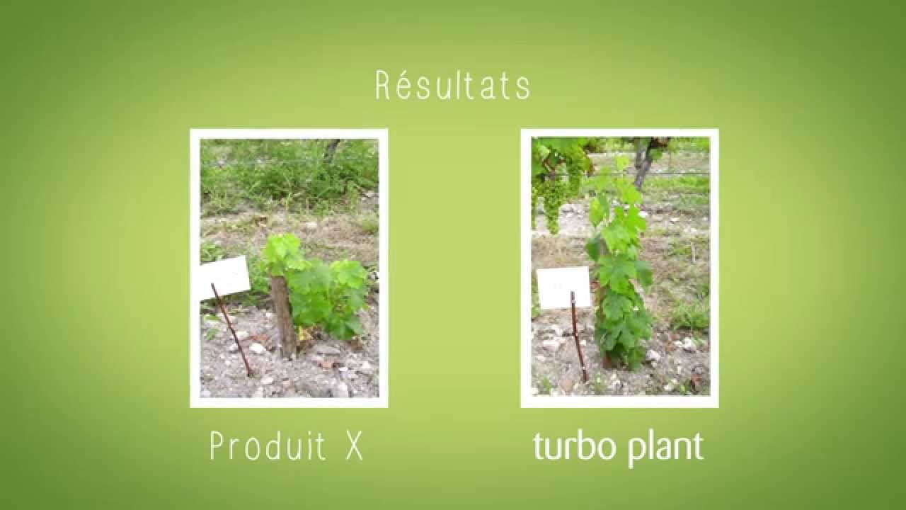 Turbo Plant: La clef du succès pour vos complantations ! (FR) - YouTube