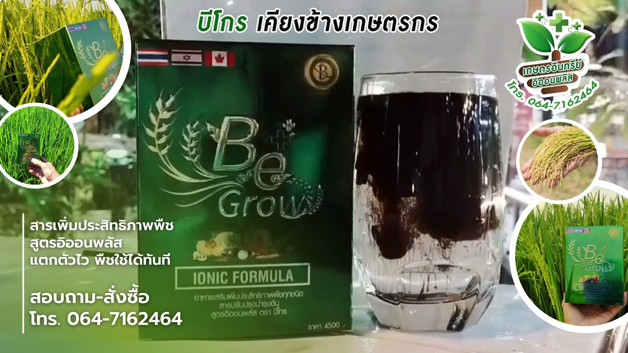 บีโกร Be Grow สารเพิ่มประสิทธิภาพพืช แตกตัวเร็ว พืชใช้ได้ทันที - YouTube