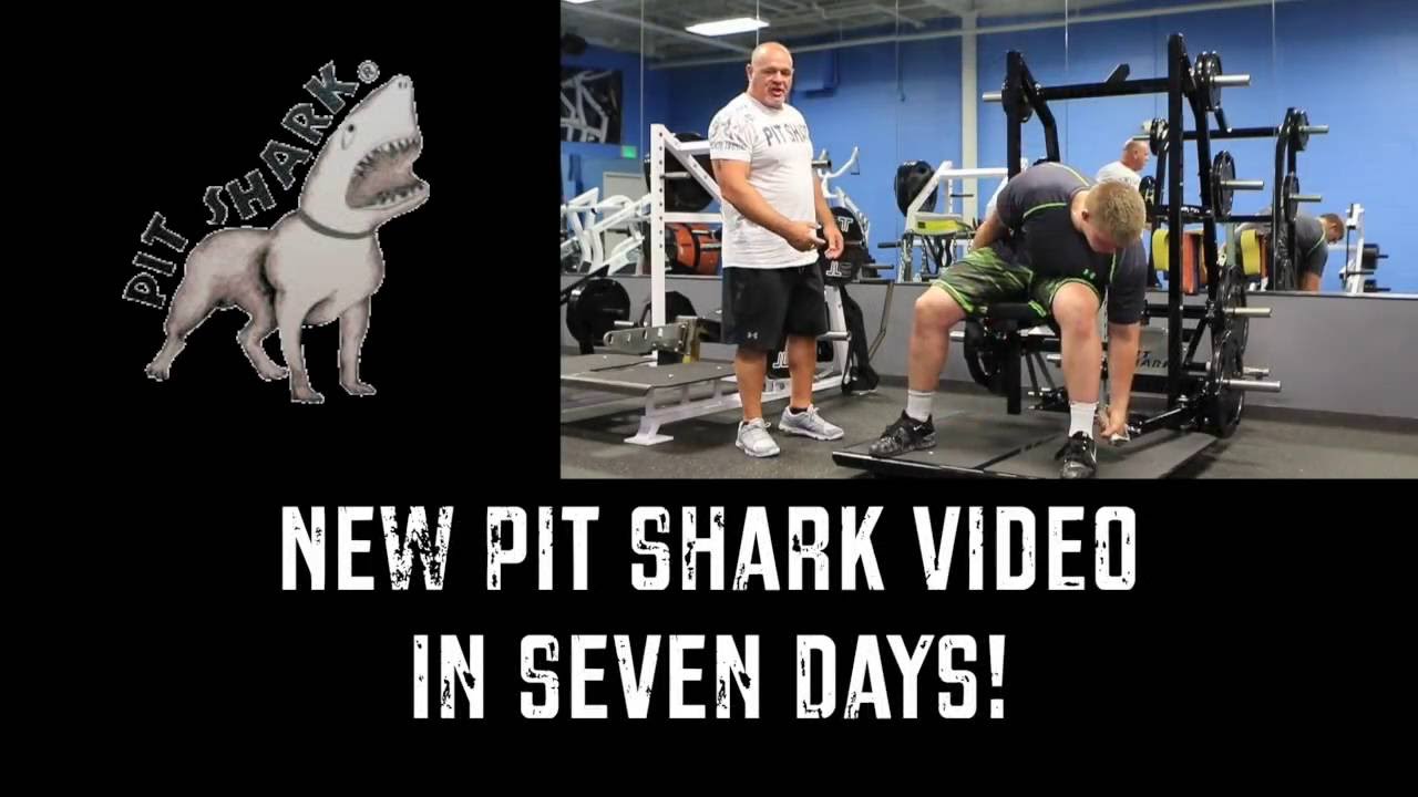Pit Shark Weighted Push Up Setup - YouTube
