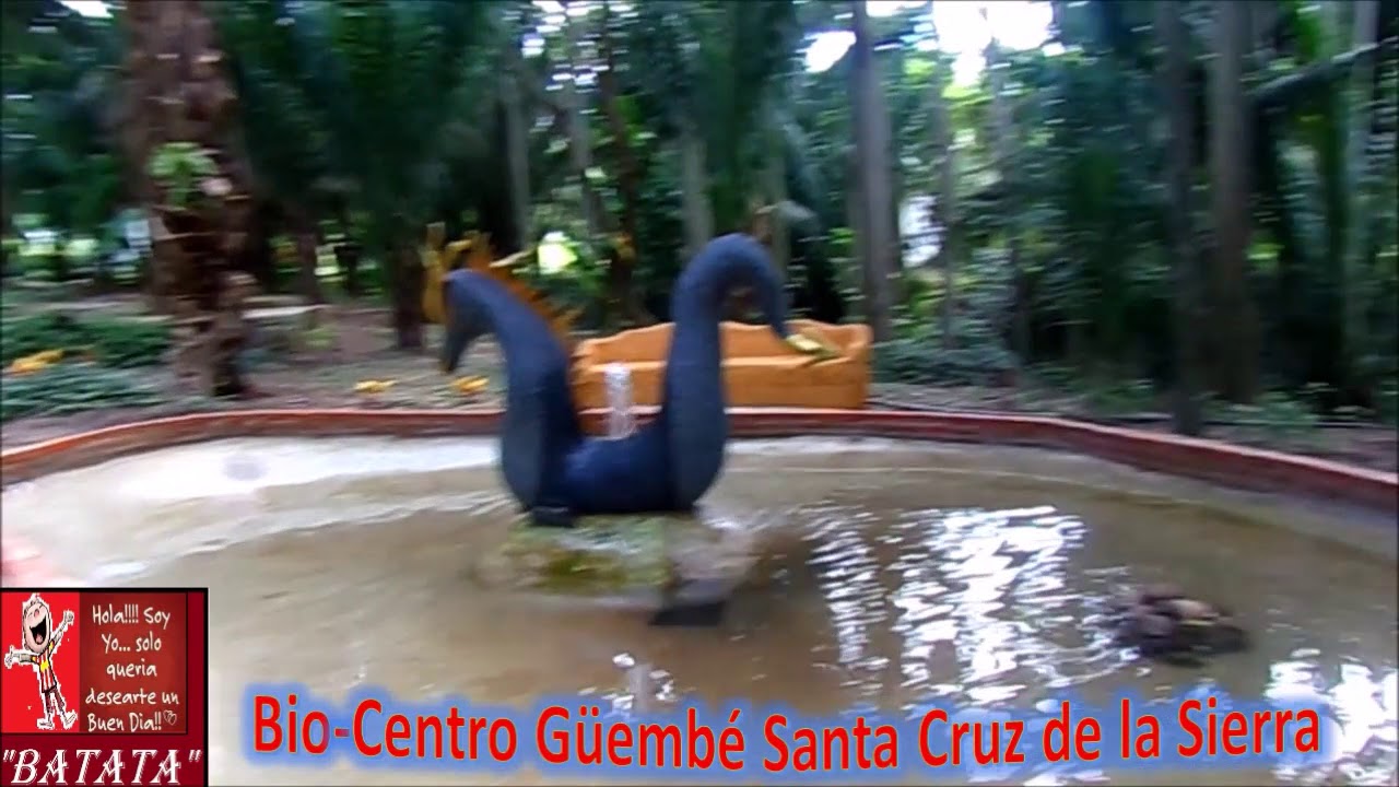 Bio-Centro Guembe Santa Cruz de la Sierra Bolivia - YouTube