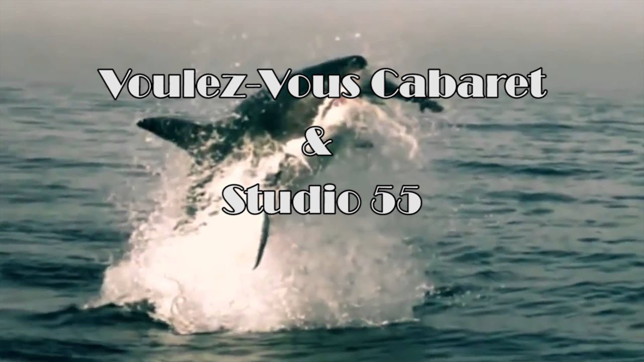 ANIMAL Intro Video - YouTube