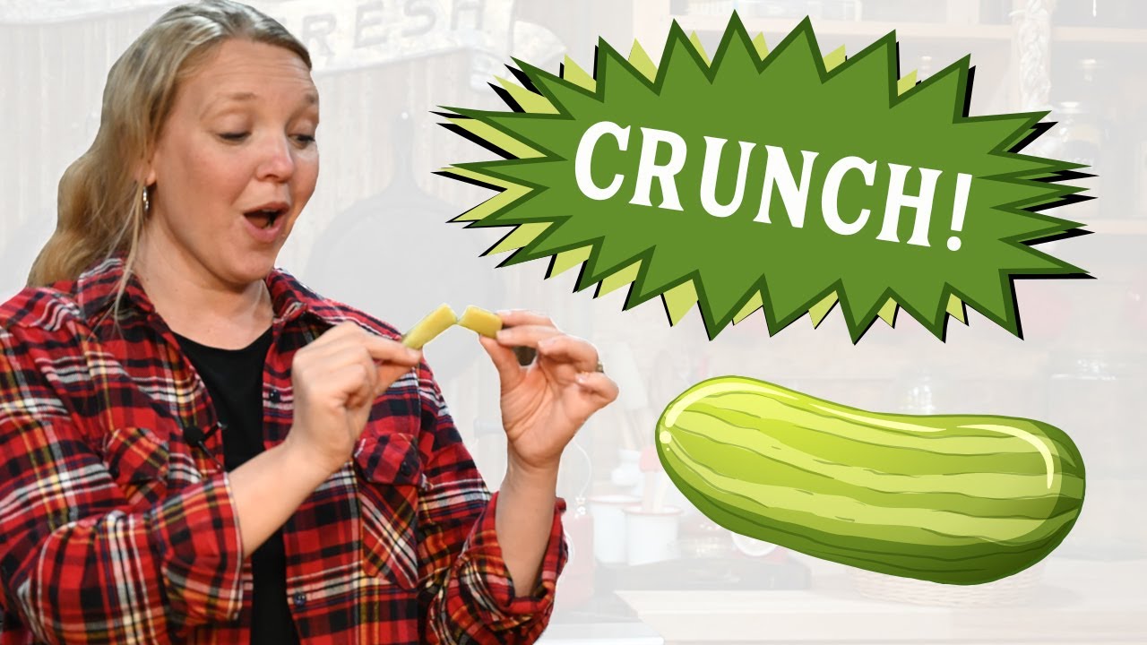 Make the CRISPEST, CRUNCHIEST Canned Pickles EVER! (Use THIS Method ...