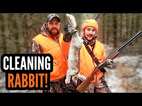 How To CLEAN A RABBIT! - Field Dressing Rabbit - YouTube