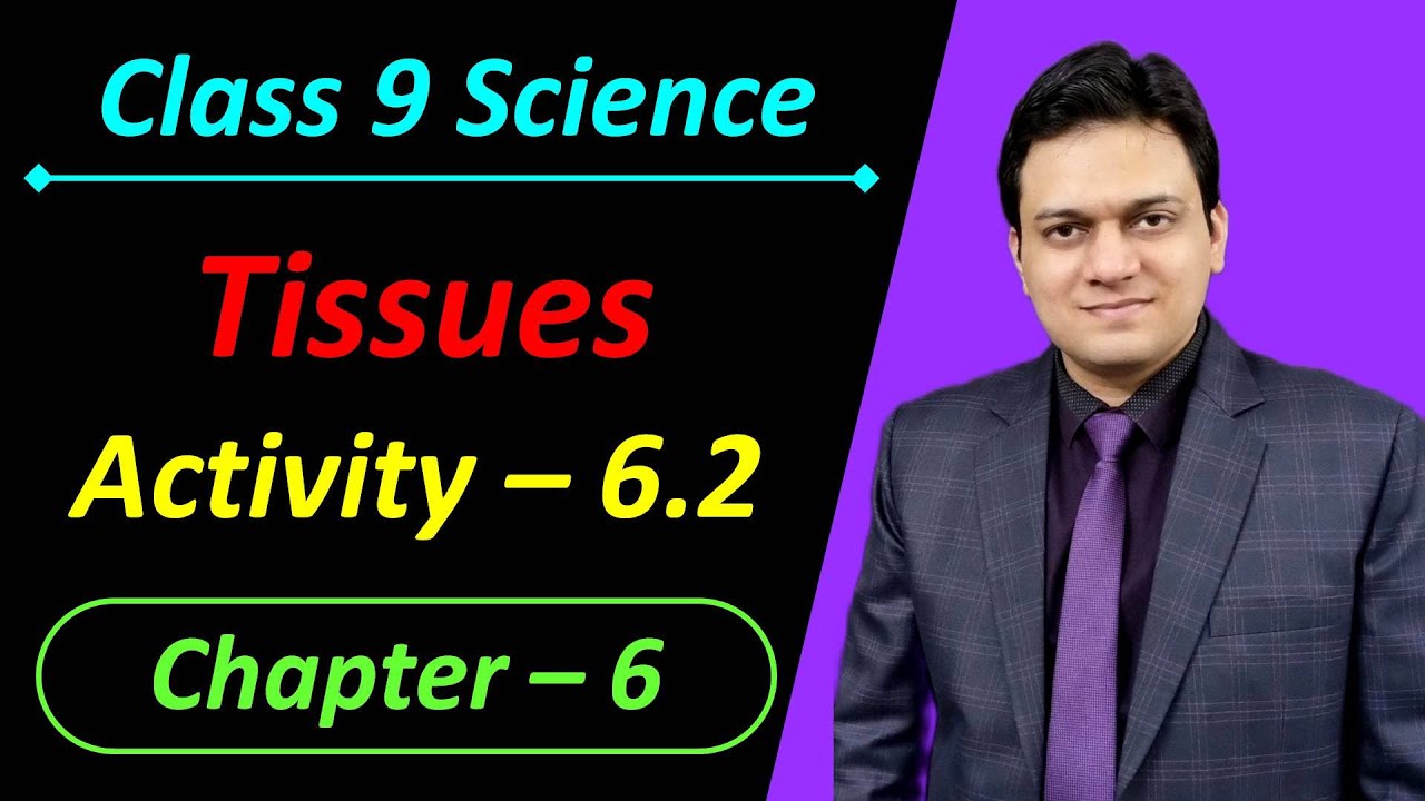 Activity 6.2 Chapter 6 Tissues Class 9th Science - YouTube