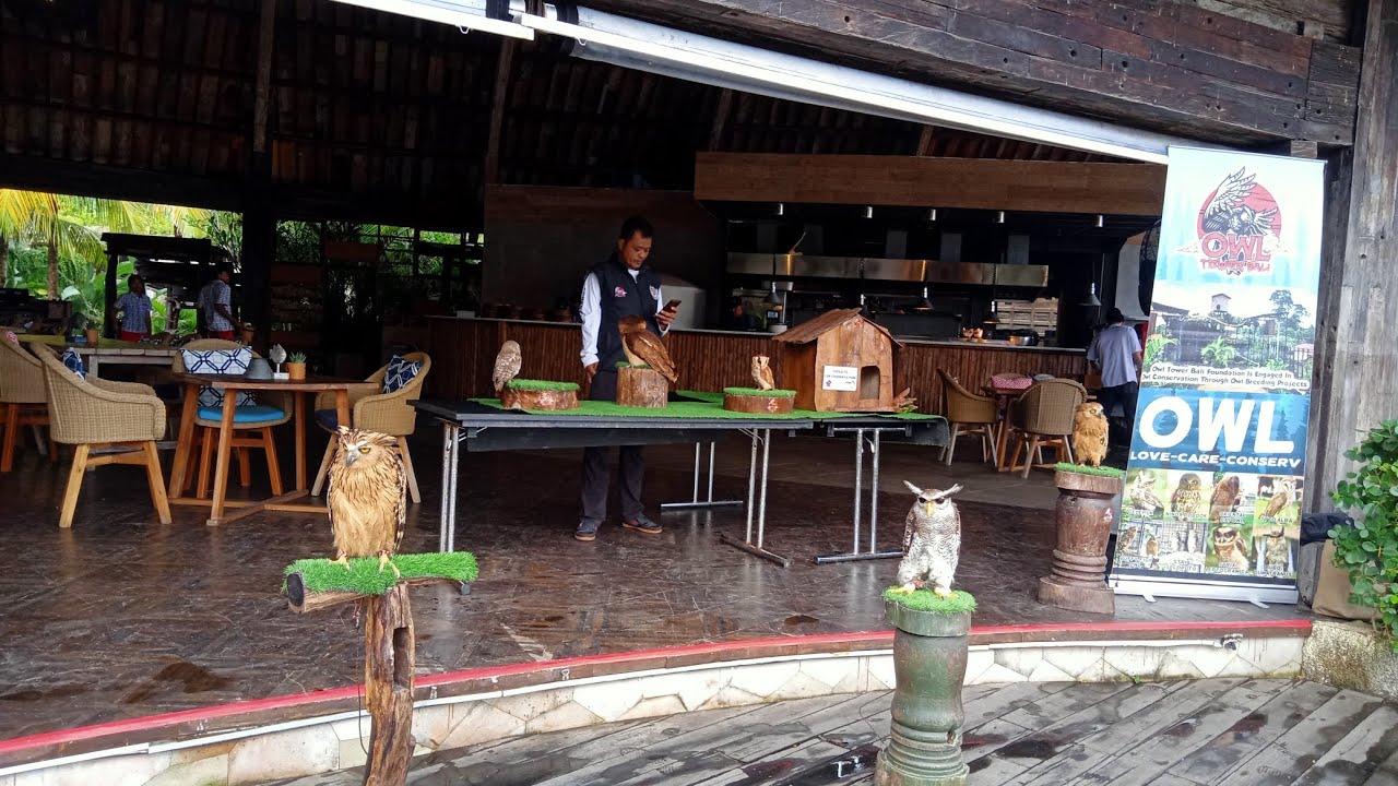 Owl Tower Bali - Roosterfish Beach Club - YouTube