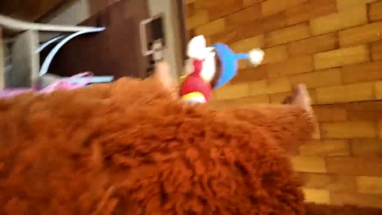 Macaca Marta do Noddy que maçã com a 🍌 - YouTube
