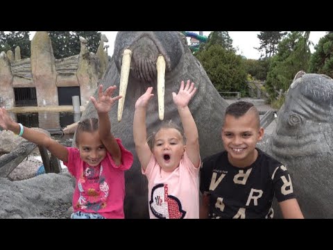 Dolfinarium VEEL KINDER PLEZIER IN Dolfinarium. DOLFIJNENSHOW & WALRUS ...