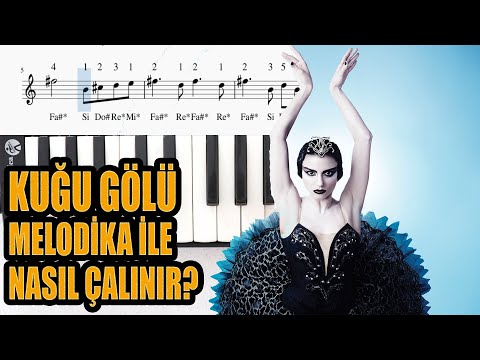 Swan Lake(Kuğu Gölü) Melodika Notaları(Muhteşem Müzik)