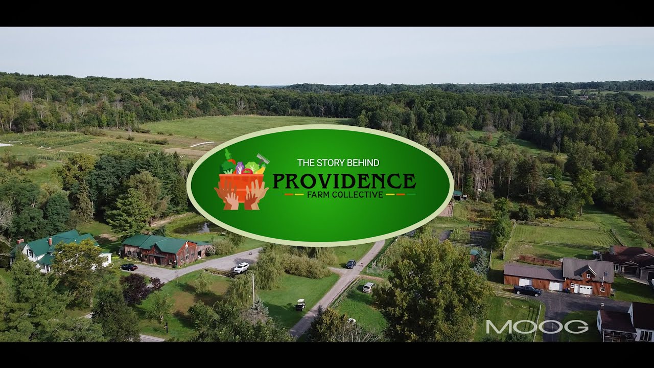 The Story Behind Providence Farm Collective - YouTube