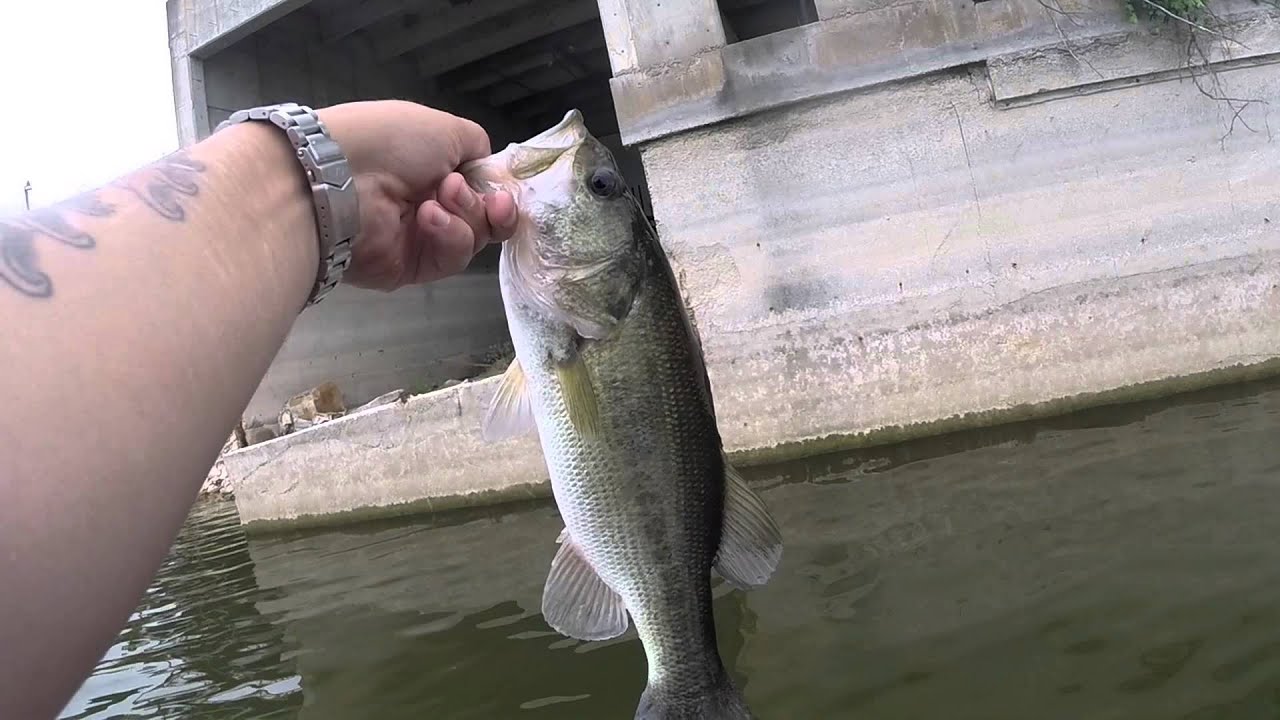 Shallow Fishing Granbury, Texas - YouTube