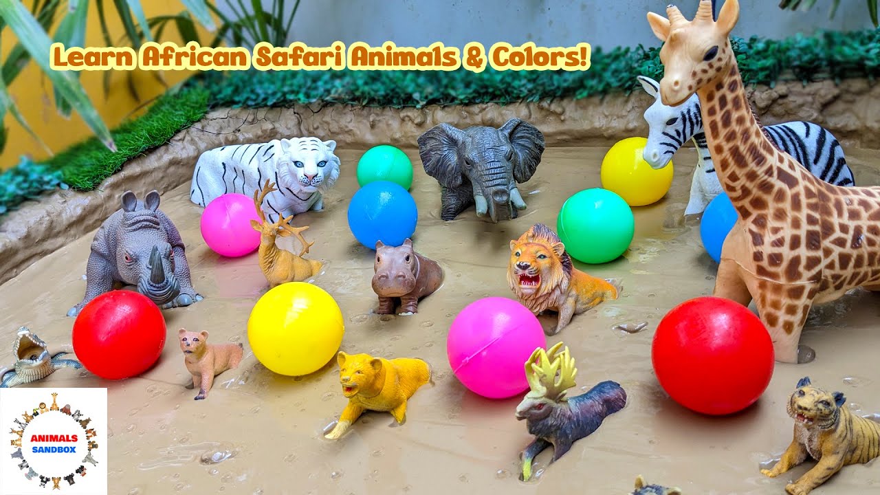 Learn African Safari Animals and Colors for Kids with Ryan & Zayan ...