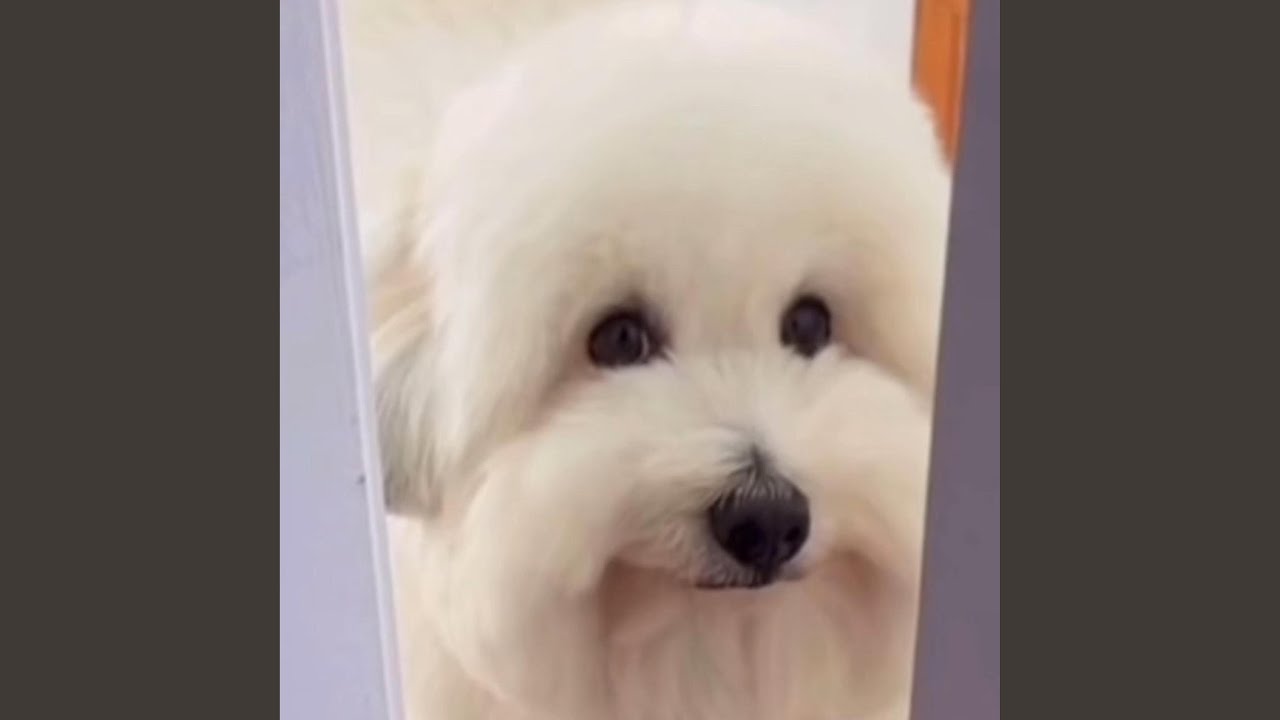 is it ok if i touch you? - YouTube