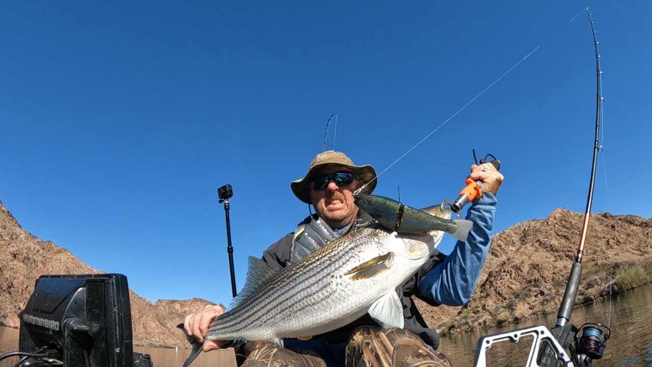 Jackson Big Rig FD with Autoboat sea trials: Willow Beach: Jackson Big ...
