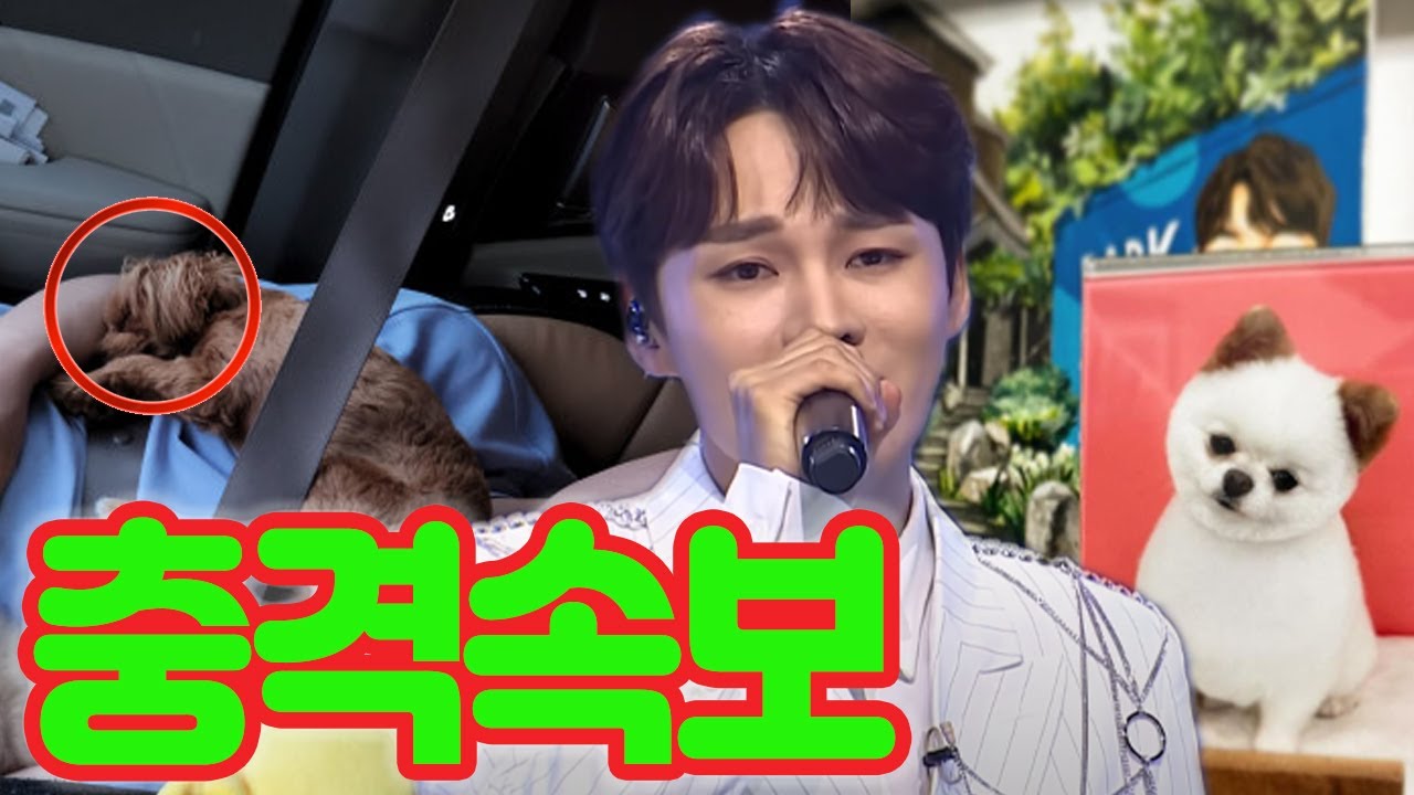 핫 박서진은 반려견이 떠난 뒤 매니저에게 전화를 걸었다 형 제발 도와줘 매니저 즉시 박서진 집에 가고 충격 광경 발견 설기의 죽음 이후 박서진은 어떻게