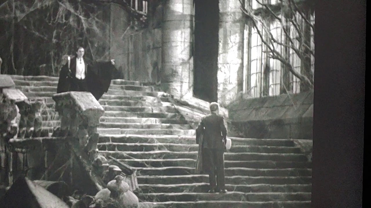 Dracula walking through spider webs - YouTube