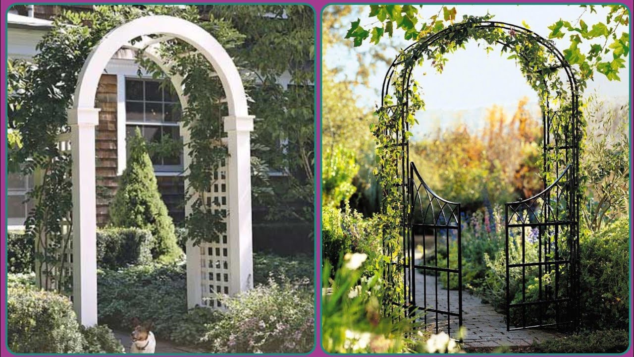 Mind Blowing & Winsome Garden Flower Trellis Designs - YouTube