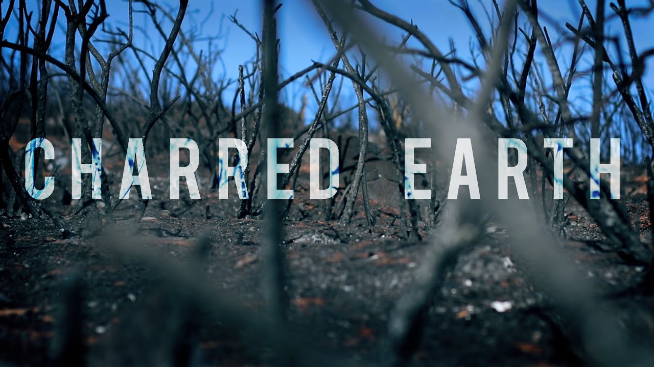CHARRED EARTH | A STORY OF RESILIENCE - YouTube
